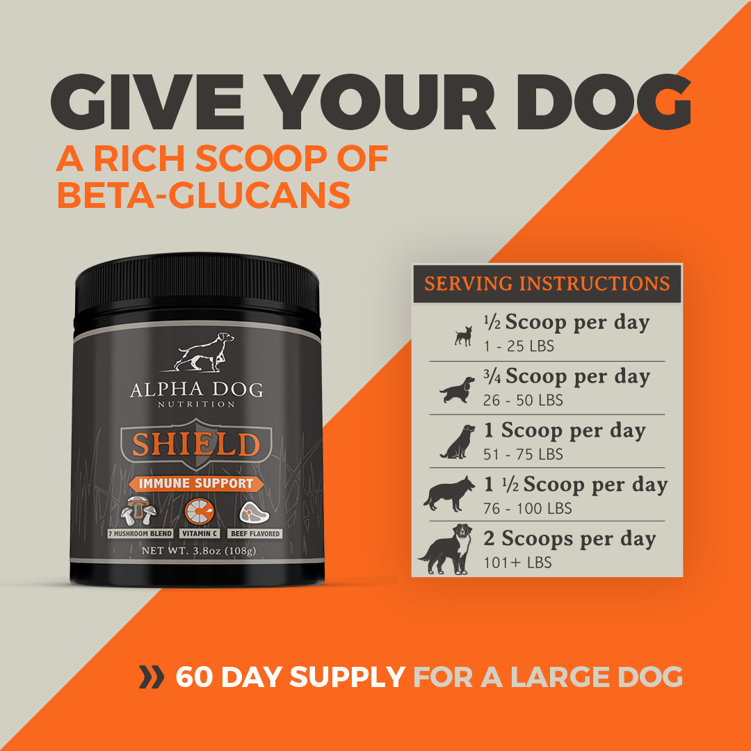 Shield Allergy Immunity Supplement for Dogs – Alpha Dog Nutrition