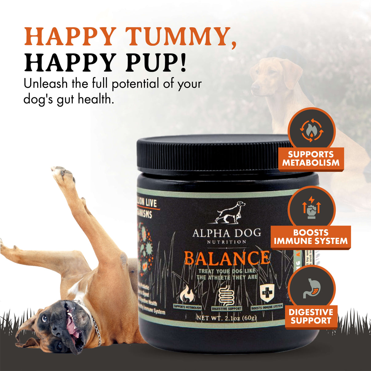 Balance - Probiotic for Active Sporting Dogs | Alpha Dog Nutrition