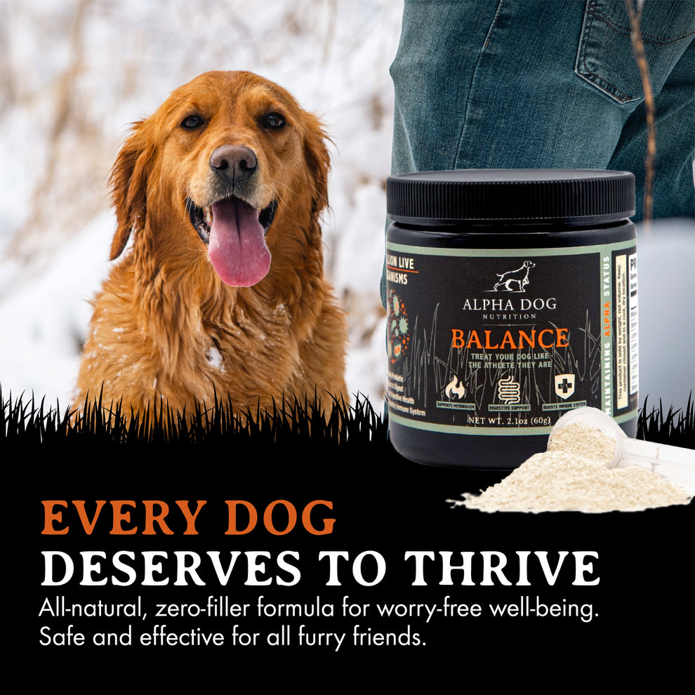 Balance - Probiotic for Active Sporting Dogs | Alpha Dog Nutrition