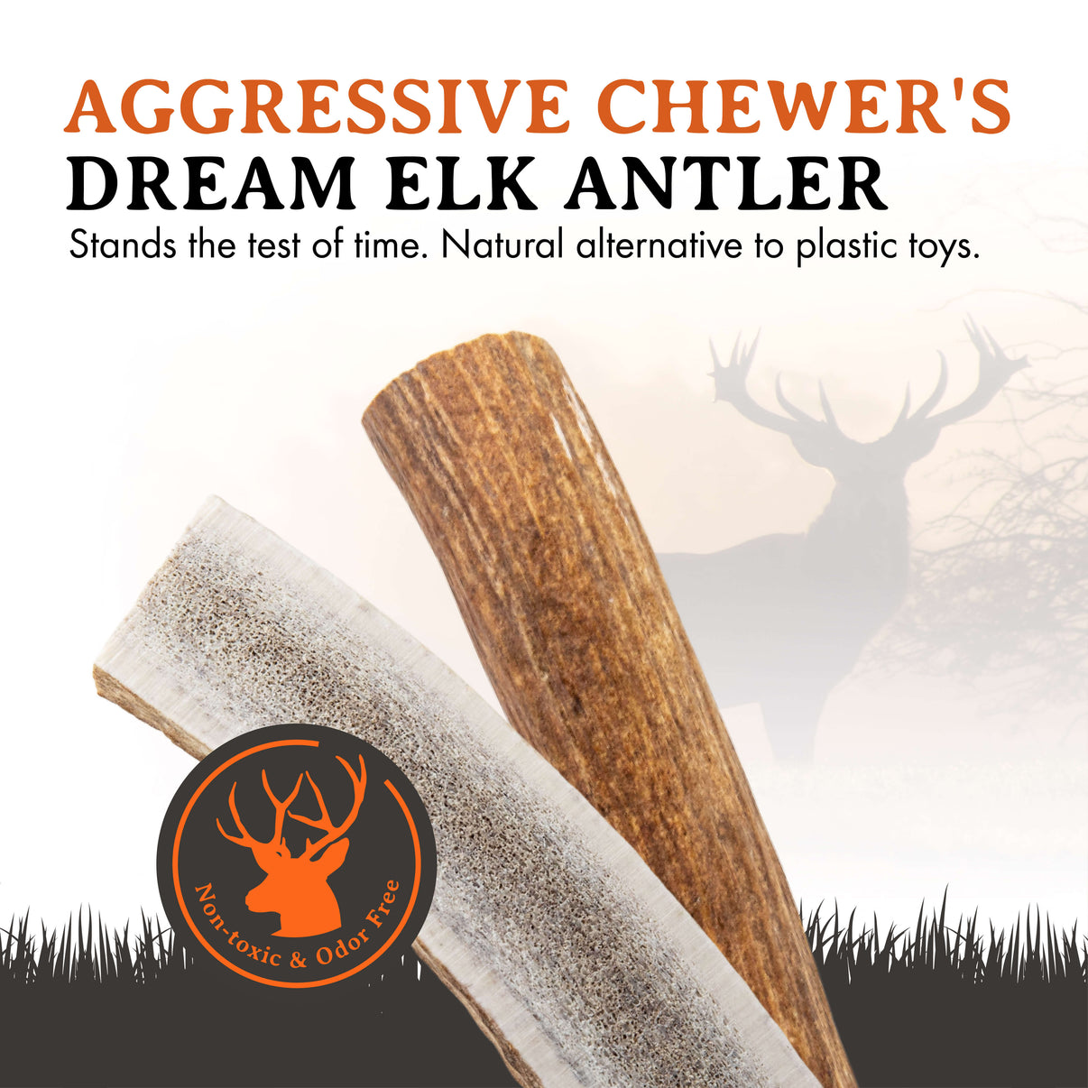 Elk Antler Dog Chews – Alpha Dog Nutrition