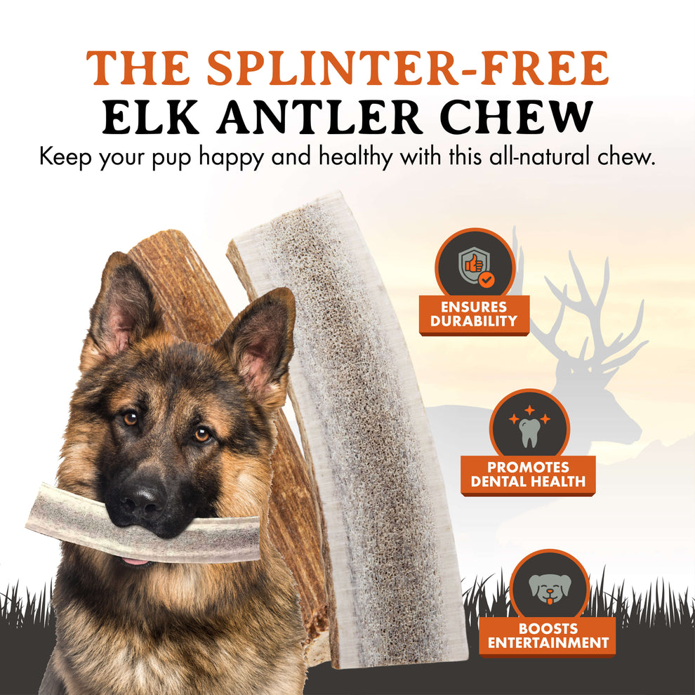 Elk Antler Dog Chews – Alpha Dog Nutrition