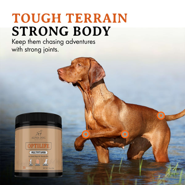 OptiLife Multivitamin for Adult Dogs – Alpha Dog Nutrition
