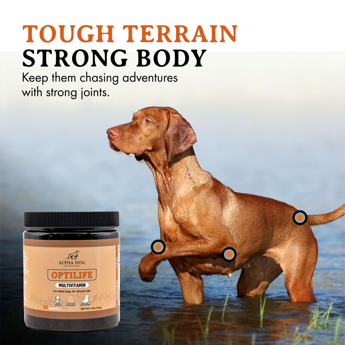 Optilife Multivitamin For Adult Dogs – Alpha Dog Nutrition