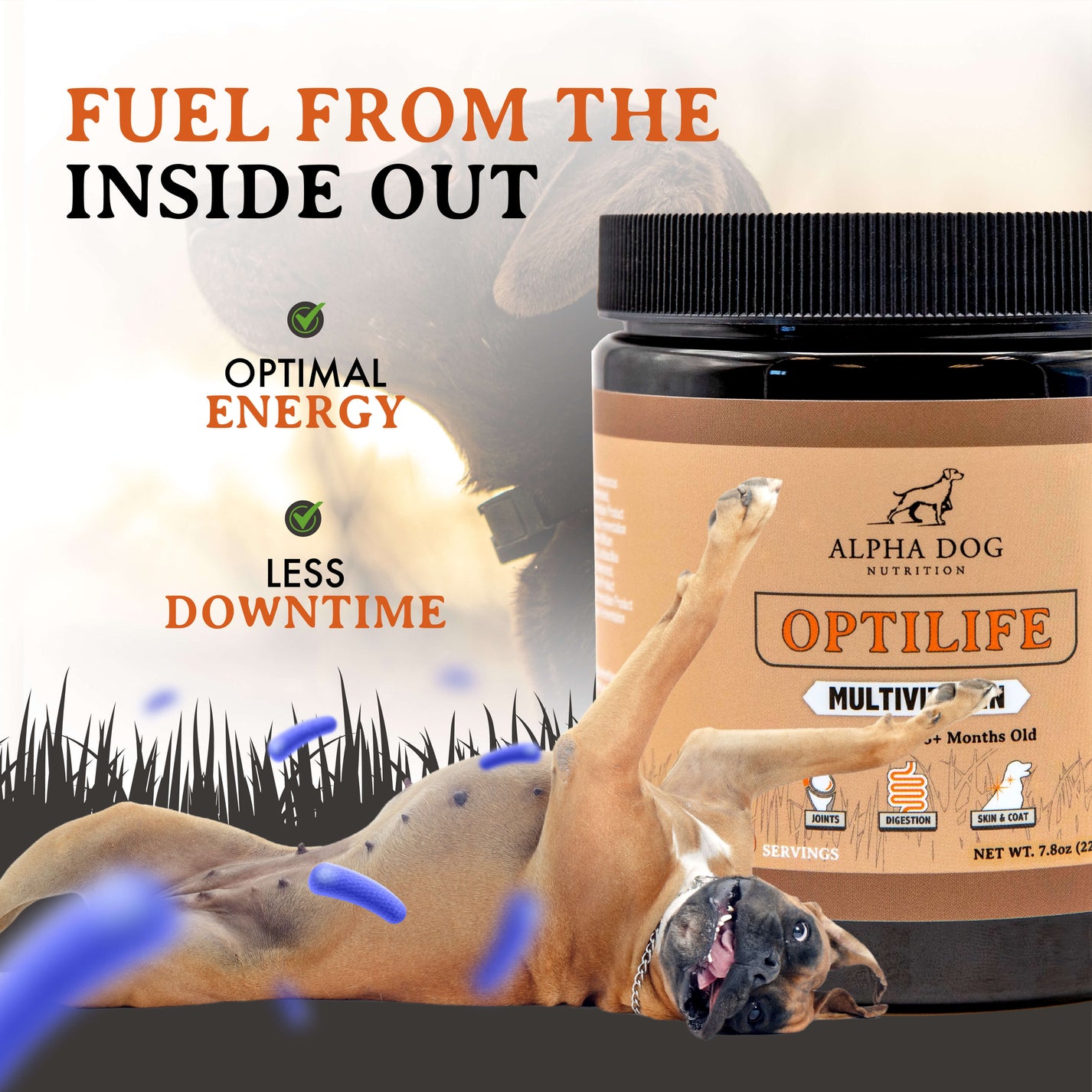 Optilife Multivitamin For Adult Dogs – Alpha Dog Nutrition