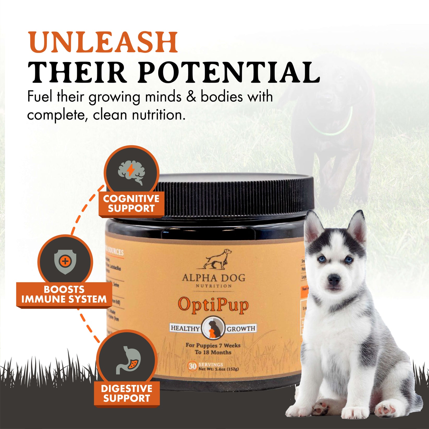 OptiPup Supplement for Puppies | Alpha Dog Nutrition