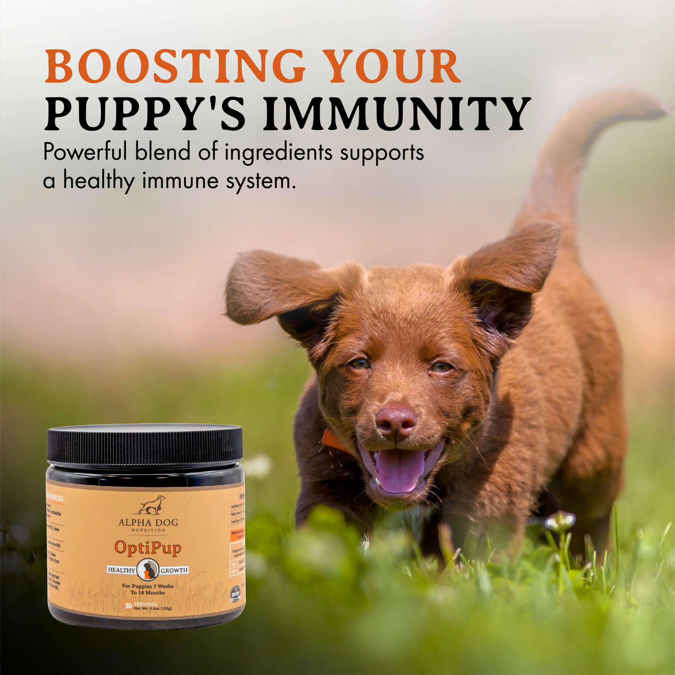 OptiPup Supplement for Puppies | Alpha Dog Nutrition