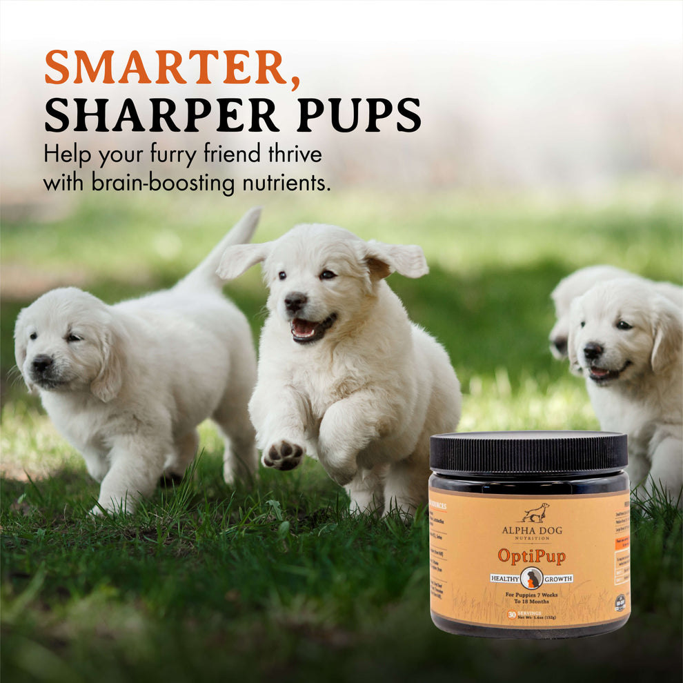 OptiPup Supplement for Puppies | Alpha Dog Nutrition