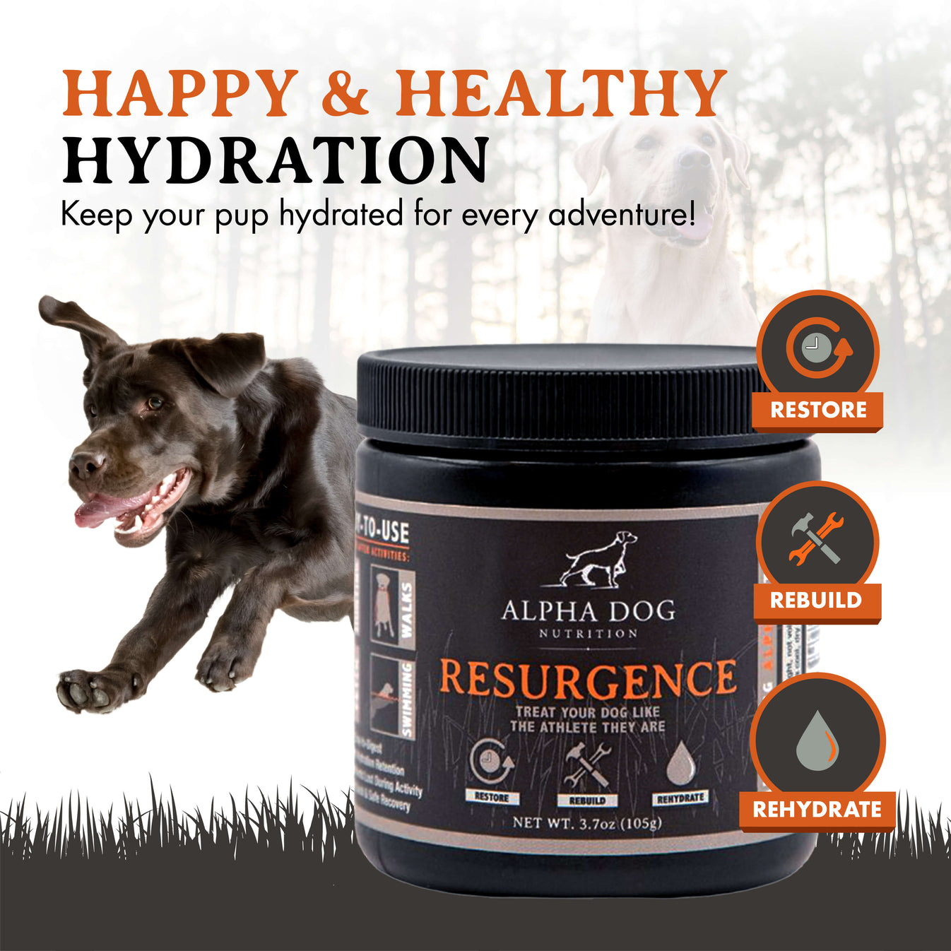 Resurgence Electrolytes for Dogs by Alpha Dog Nutrition