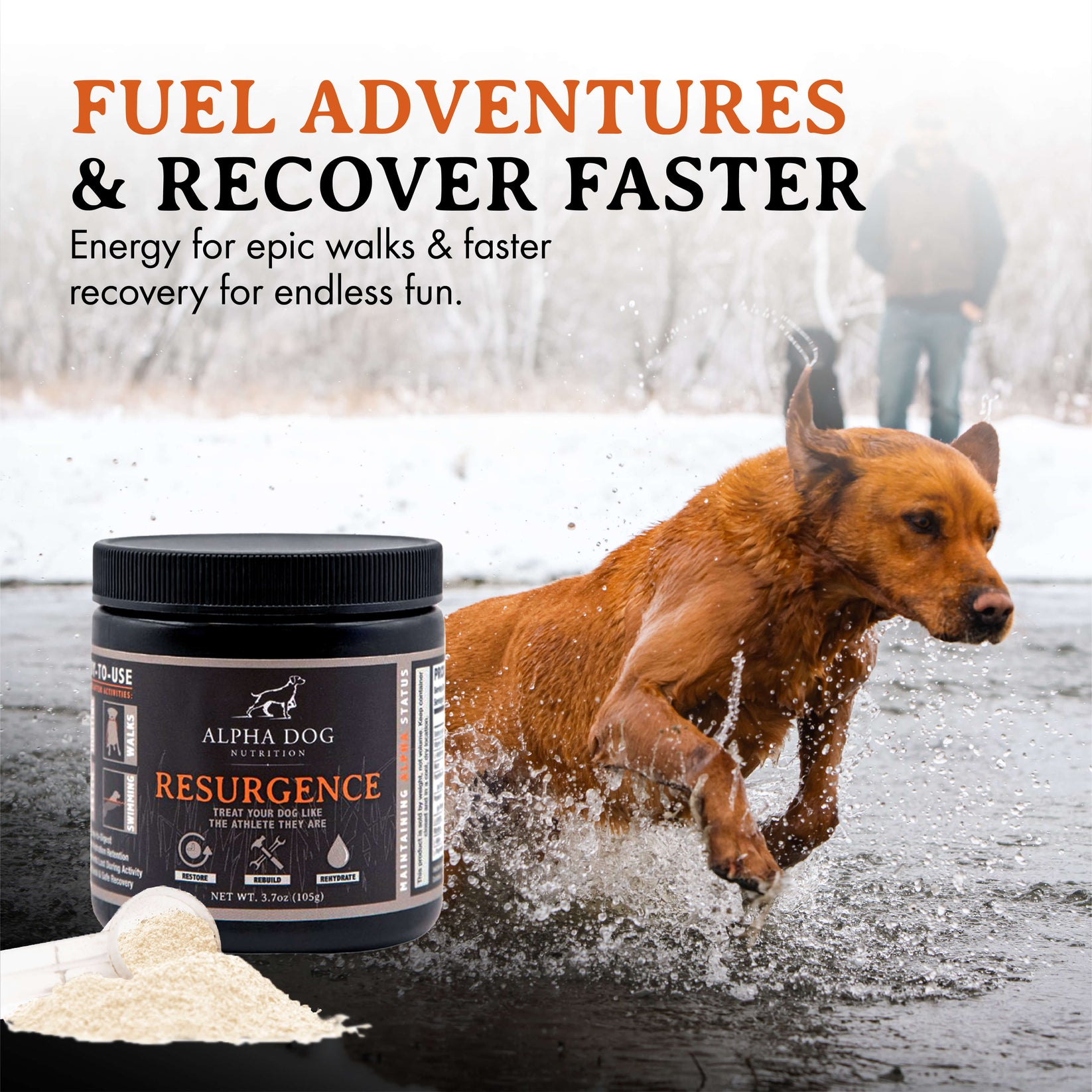 Resurgence Electrolytes for Dogs by Alpha Dog Nutrition