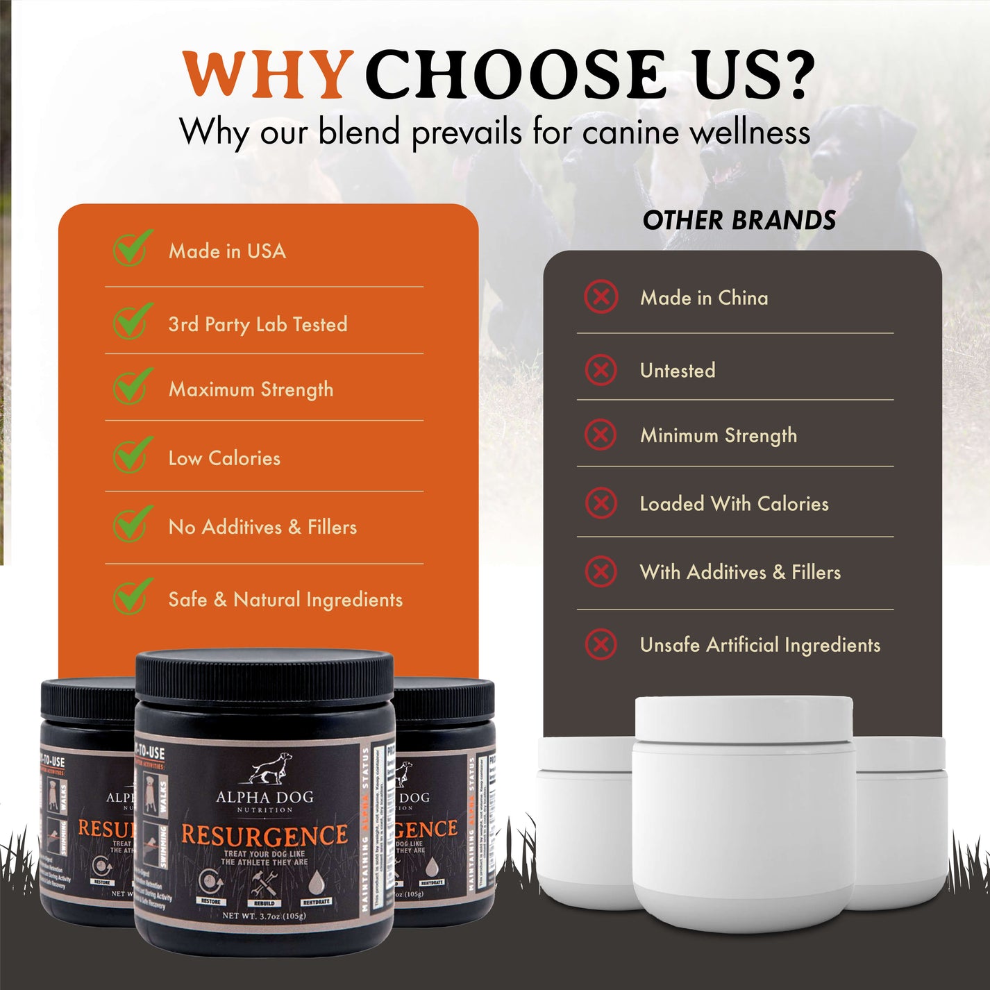 Resurgence Electrolytes for Dogs by Alpha Dog Nutrition