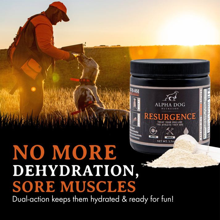 Resurgence Electrolytes for Dogs by Alpha Dog Nutrition