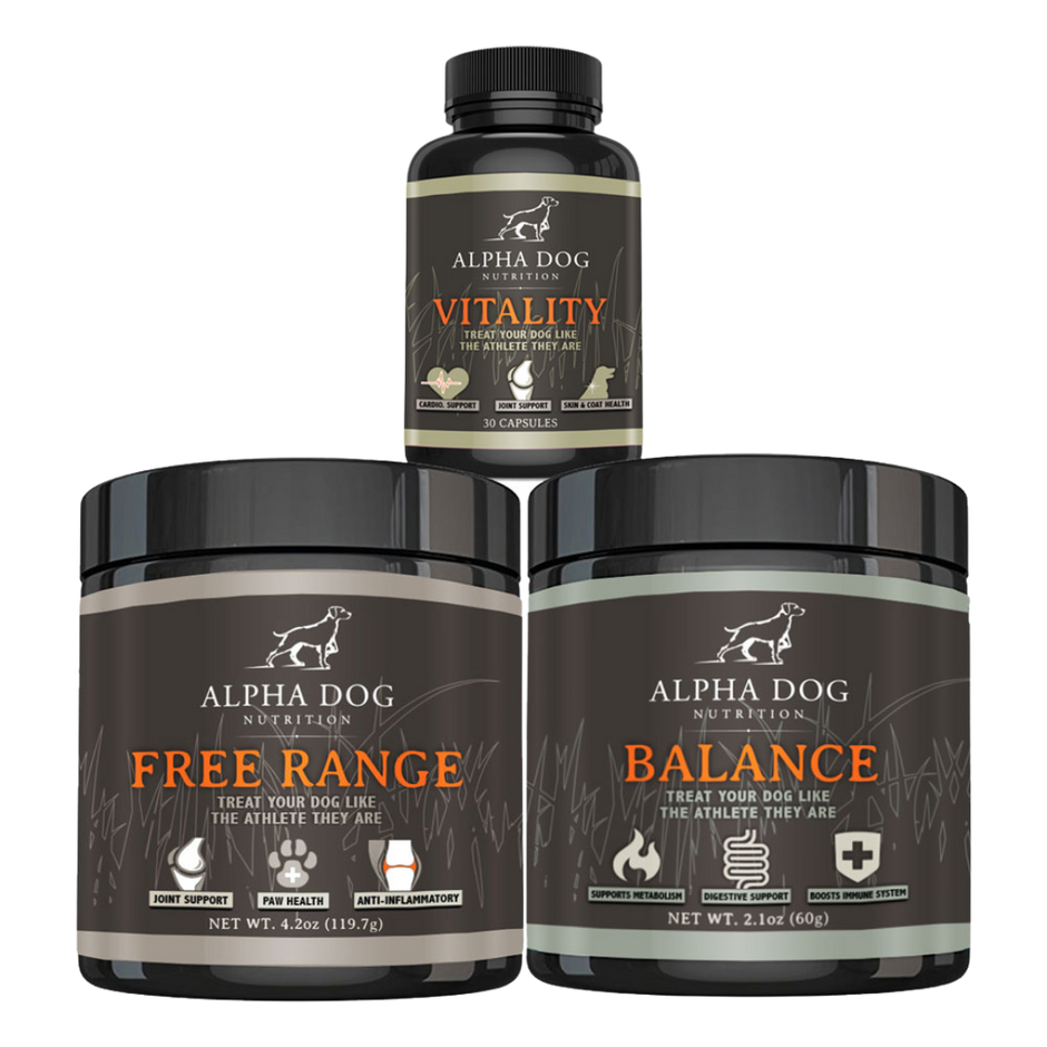 Supplements for Older Dogs - Keep Them Healthy & Active | Alpha Dog ...