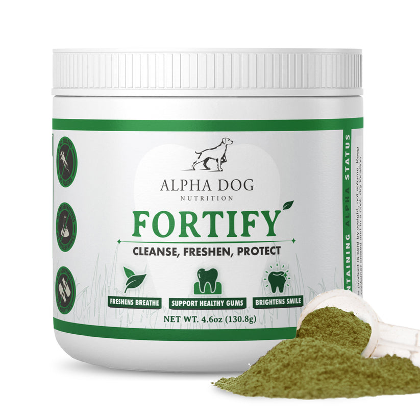 Fortify Dental Powder for Dogs from Alpha Dog Nutrition