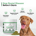Fortify Dental Powder for Dogs from Alpha Dog Nutrition