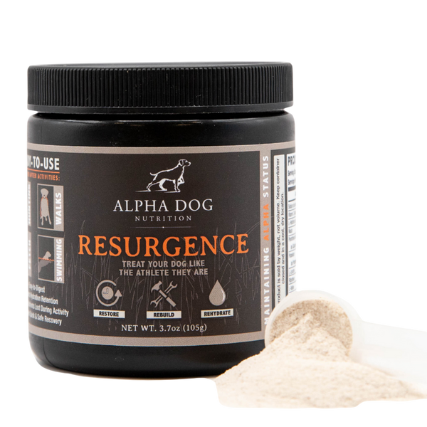 Resurgence Electrolytes for Dogs by Alpha Dog Nutrition