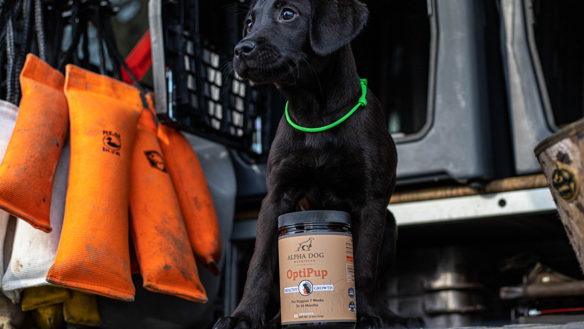 Alpha Dog Nutrition | Premium Dog Supplements & Vitamins